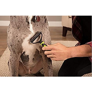 BISSELL FURGET IT Cat and Dog Grooming Brush with Shedding and Dematting, 2064A Green