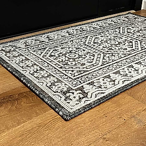 Pilgrim Home and Hearth 19653-1 Area Rugs, 46" x 28", Beautiful