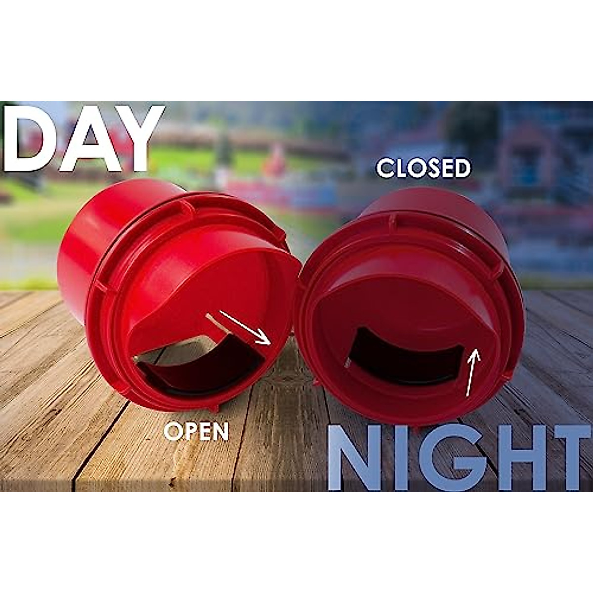 RentACoop Chick2Chicken 10lb Feeder & 2 Gal Waterer Set with Gravity Feed Refill & Auto-Fill Cups - BPA-Free Food & Water Buckets for Up to 20 Chicks or 12 Adult Chickens