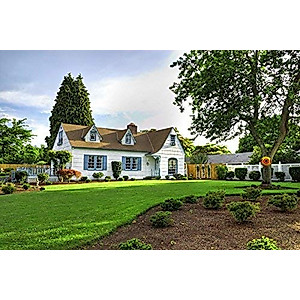 De-Bird Balloon Bird Repellent - 3-Pk - Fast and Effective Solution to Pest Problems - Scary Eye Balloons Keep Birds Away from House, Garden Crops, Swimming Pools & More