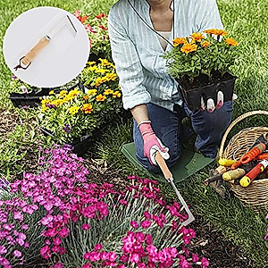 goldhik Crack Weeder, 8.7" Stainless Steel Crevice Weeding Sickle Manual Weeder Lawn Yard Garden Sidewalk Tool