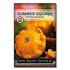 Sow Right Seeds - Squash Seed Collection for Planting - Individual Packets Straightneck Summer, Yellow Scallop, Round Zucchini, Waltham Butternut and Spaghetti Squash, Non-GMO Heirloom Seeds