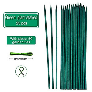 BLUE TOP Green Bamboo Plant Stakes Garden Stakes 15.8 Inch 25 PCS,Wood Stakes for Vegetables/Floral,Bamboo Plant Support for Indoor &Outdoor Plants with 100 Garden Ties, Sign Posting Garden Sticks