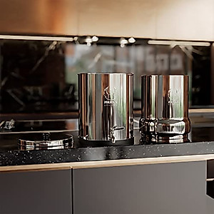 Phoenix Gravity 2.25 Gallons Gravity Fed Stainless Steel Drinking Water Filter and Purifier with 2 Carbon Filters and Stainless Steel Tap