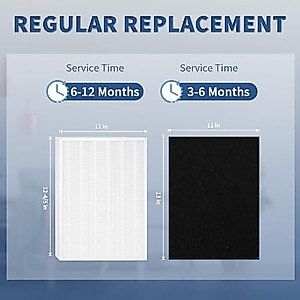 C545 True HEPA Replacement Filter S Compatible with Winix C545 Air Purifier Replacement for Winix S Filter 1712-0096-00 and 2522-0058-00, Funmit 2 x True HEPA Filter + 8 x Activated Carbon Pre-Filter