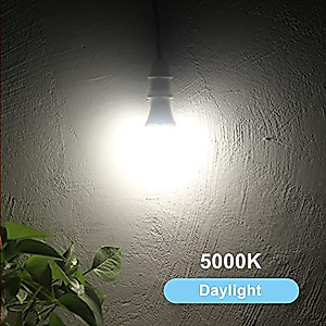 Qualilux Dusk to Dawn Light Bulbs Outdoor, 60W Equivalent, Daylight, Non-Dimmable, LED 9.5W, A19, 2-Pack, HQ-H011