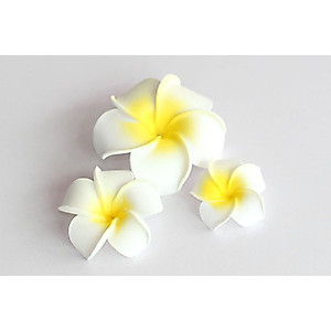 DreamLily Women's Fashion 3 Pcs Hawaiian White Plumeria Flower Foam Hair Clip Balaclavas for Beach (White), One Size