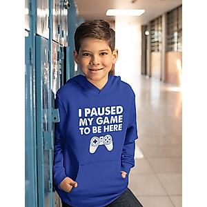 I Paused My Game to Be Here Funny Gift for Gamer Youth Hoodie Medium Blue