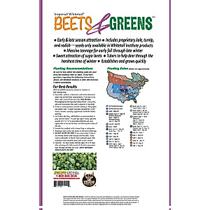 Whitetail Institute Beets & Greens Deer Food Plot Seed for Fall Planting - Blend of Sugar Beets, Kale, Turnip and Radish to Attract and Hold Deer Throughout Fall and Winter, 12 lbs (2 Acres)