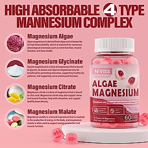 Sugar Free Calcium Magnesium Zinc Gummies, Algae Calcium Magnesium Supplement Plus D3 | 4 Forms of Magnesium - Glycinate, Citrate, Malate, Algae - Support Bone Health, Muscle Function & Nerve, 60 Ct