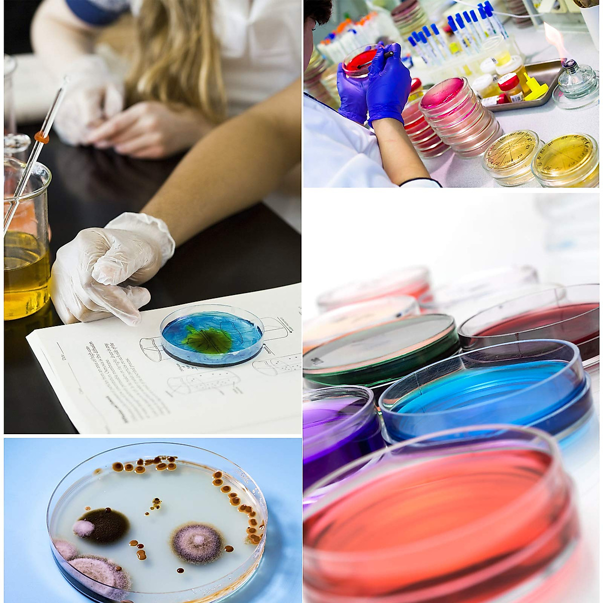 30 Pack Plastic Petri Dishes with Lids,90 x 15mm Bioresearch Sterile Petri Dish,Culture Dishes for School Science Projects,Seeding,Storage,Biological Themed Party