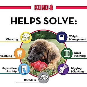 Kong Easy Treat Filler - Training Treats for Dogs, 8 Oz (Pack of 4 - Bacon and Cheese) with Recipe Card