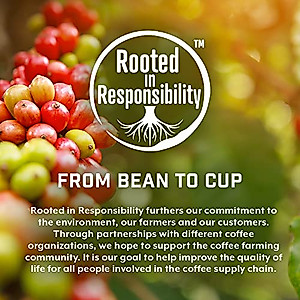 Eight O'Clock Coffee Barista Blends Caffe Americano, 11 Ounce, Mild Espresso, Medium Bodied Balanced Flavor