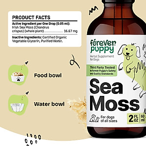 Irish Sea Moss Drops for Dogs - Thyroid Support & Energy - Nutritional Drops with Liquid Sea Moss - Dog Food Supplements for Thyroid Health - Liquid Dog Vitamins and Supplements - 2 oz