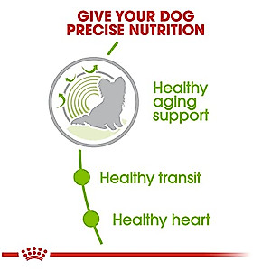 Royal Canin X-Small Aging 12+ Dry Dog Food, 2.5 lb bag