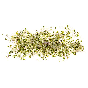 Broccoli Seeds for Sprouting & Microgreens | Calabrese Variety | Non GMO & Heirloom Seeds | Bulk 1 LB Resealable Bag | Rainbow Heirloom Seed Co.