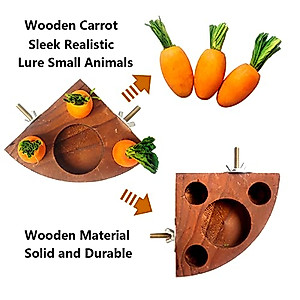 CooShou Hamsters Feeder Bowl Small Animals Guinea Pigs Corner Wooden Feeder Dishes with 3pcs Carrots Cage Feeder for Guinea Pigs, Hamster, Chinchilla Hedgehog Gerbil