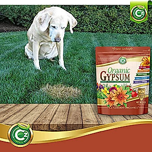 Organic Gypsum - Made in USA - Calcium Sulfate Dihydrate Powder - Garden Soil Amendment Fertilizer for Lawns, Plants, Mushroom Cultivation. Calcium & Sulfur Additive. Cures Blossom End Rot in Tomatoes