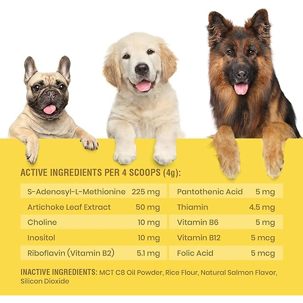 Special Breed Same for Dogs - S-Adenosyl-L-Methionine, Same Advanced, Liver Support Supplement for Dogs, Brain and Cognitive Support, Sam e for Dogs (120 Grams, 3 Pack)