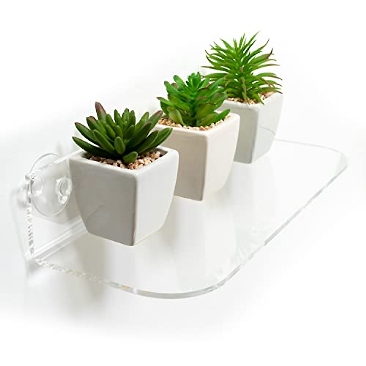 Jamborum Window Garden Double Ledge Acrylic with Suction Cups