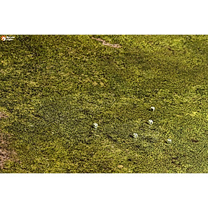 Warzone Studio 6’ x 4’ Double-Sided Rubber Battle Mat: Deserted Heart + Homeland + Bag