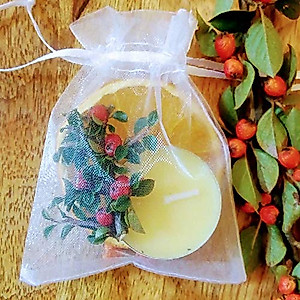 100Pcs Organza Bags,4x6" Wedding Favor Bags with Drawstring,Sheer Organza Pouches for Jewelry,Gift,Bathroom Soaps (10x15cm Pink)