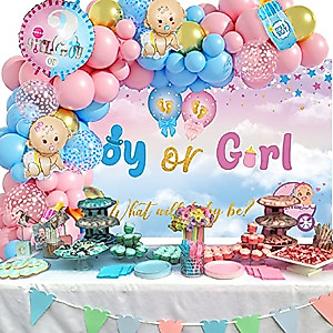 Gender Reveal Decorations Pastel Blue Pink Balloon Garland Arch Kit with Boy or Girl What do You Think Banner Backdrop Boy Girl Foil Mylar Balloons Gender Reveal Party Supplies