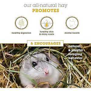 5 Lbs Fresh Alfalfa Hay by Bunny Honey - USDA Organic Natural Hay for Guinea Pigs, Rabbits, Hamsters, Hedgehogs, and More Small Select Animal Pets - 2nd Cut Fresh from Farm (5LB)