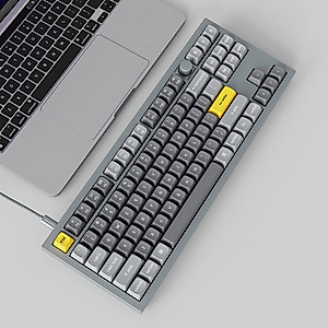Keychron Q3 Wired Custom Mechanical Keyboard Knob Version, TKL QMK/VIA Programmable Macro with Hot-swappable Gateron G Pro Brown Switch Double Gasket Compatible with Mac Windows Linux (Grey)