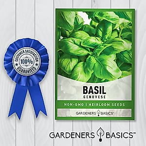 Genovese Basil Seeds for Planting Heirloom Non-GMO Herb Plant Seeds for Home Herb Garden Makes a Great Gift for Gardening by Gardeners Basics