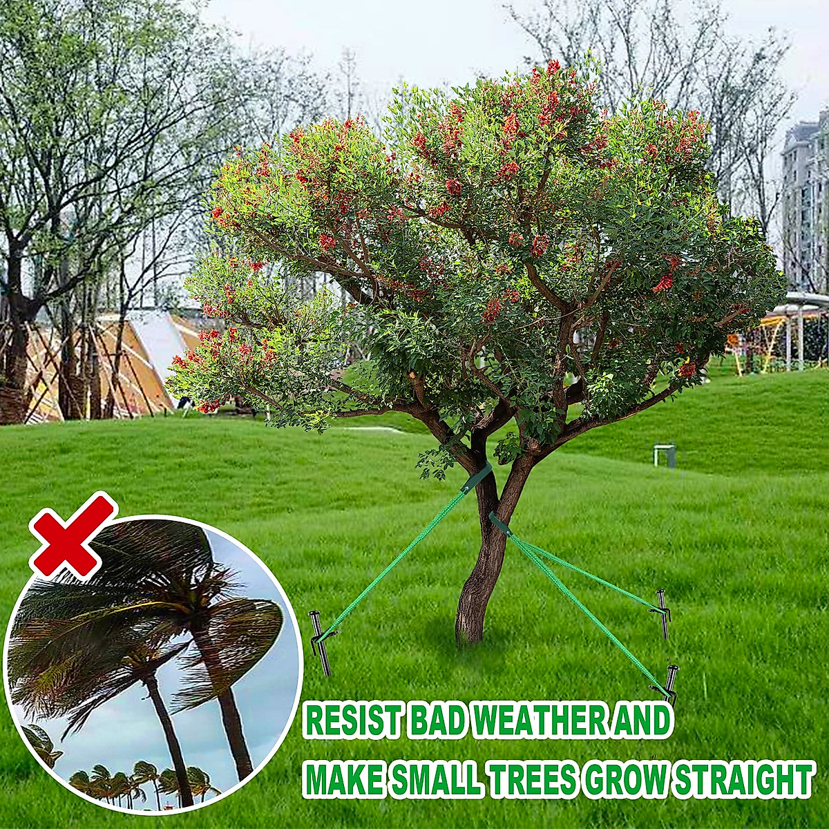 Guyuewey Heavy Duty Tree Stake Kits, Tree Stakes for Young Trees Straightening, Garden Tree Supports for Leaning Tree Outdoor, 3Pcs Tree Straps, 3Pcs Metal Stakes, 3Pcs Rope for Anchoring (1)