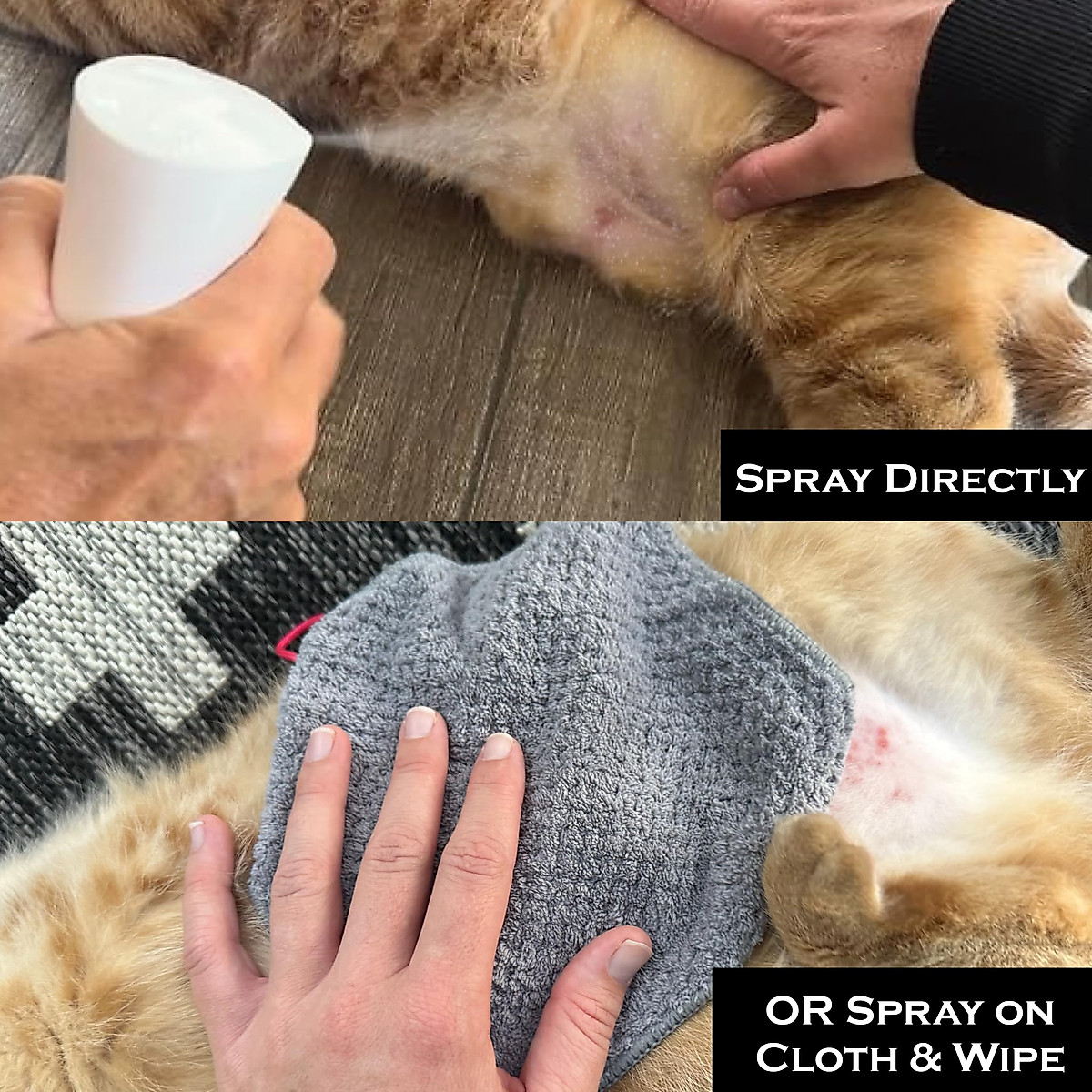 FlexTran Feline Ring Care | Control & Help with Cat Ringworm, Mange, Dermatitis, Dog Paw Yeast. Also Works on Dogs, Hamsters, Guinea Pigs, Rabbits, etc. Makes 32 oz of Spray for Cats and Itch Relief