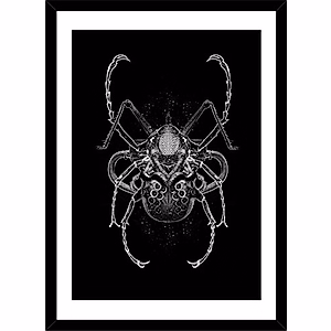 FANTASMAGORIK¨ INSECTS 1