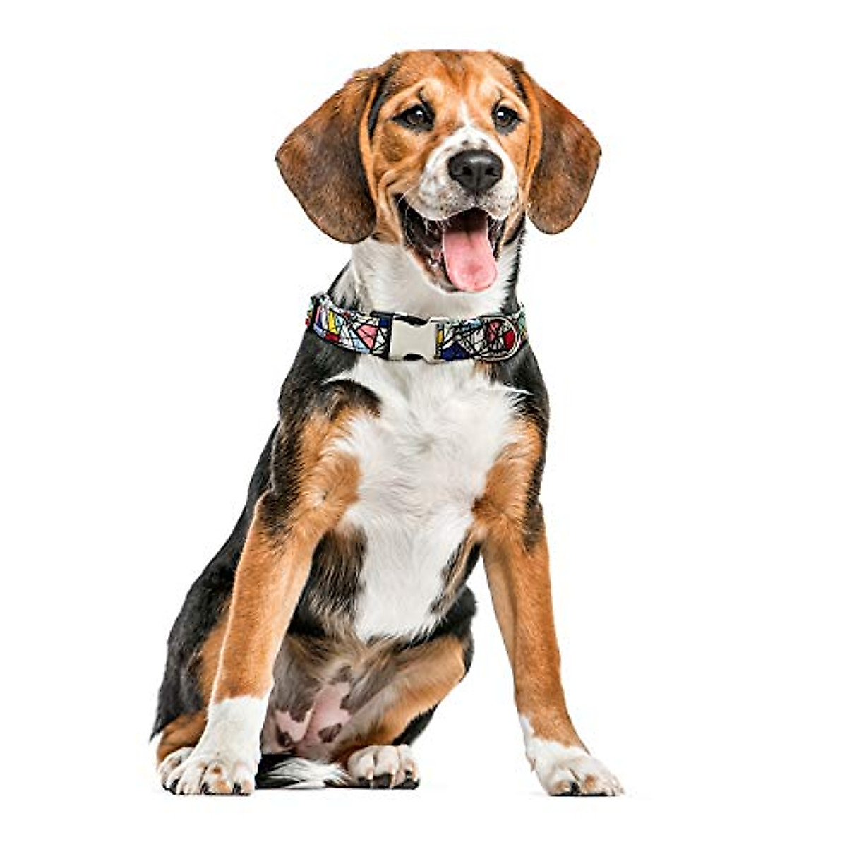 Dog Collar Soft Adjustable Puppy Collar for Small Medium Large Dog Buckle Pattern Metal Cotton Half Ethnic Personalized Pet Collars