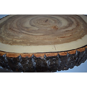 Log Slice Slab for Cake Stand, Cutting Board, Food Serving or Center Piece With Bark
