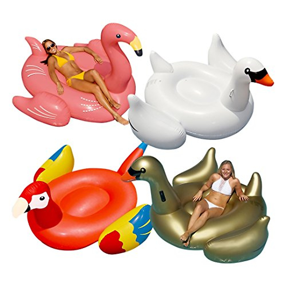 Swimline Golden Goose/Swan/Flamingo/Parrot Floats for Swimming Pools (4 Pack)