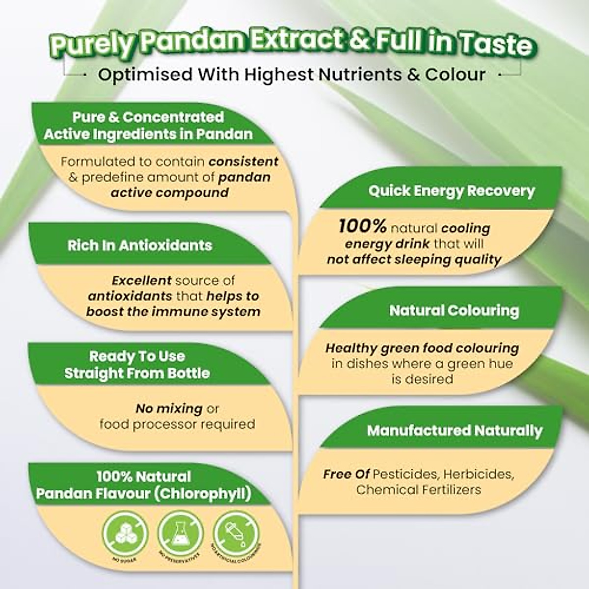 3 X Natural Color Chlorophyll of Pandan Leaf Extract Concentrate for Bakery & Beverage (1000g) Standardized Plant Extract of The East, Natural Asian Gourmet Baking Ingredient