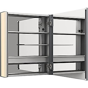 KOHLER K-81145-SLE-DA1 Maxstow Medicine Cabinet with LED Light, Mirror Door & Staggered Shelves, Rectangular Frame, 22" x 24"