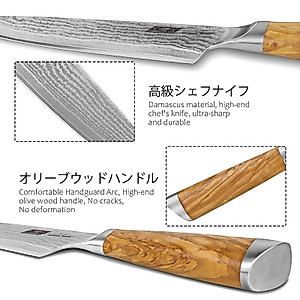 HOSHANHO Damascus Chef Knife 8 Inch, Professional 67 Layers VG-10 Super Steel Kitchen Knife, Ultra Sharp Japanese Cooking Knife with Ergonomic Olive Wood Handle