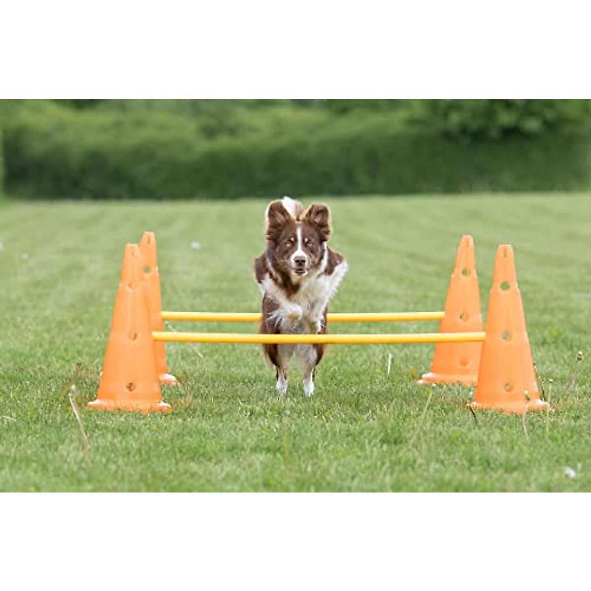 TRIXIE Dog Agility Hurdle Cone Set, Portable Canine Agility Training Set, 6 Exercise Cones with 3 Agility Rods