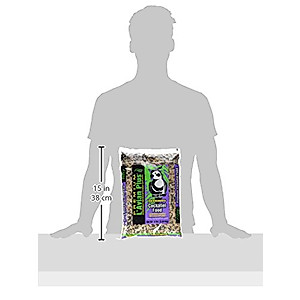 La Cockatiel Sunflower Bird Food 4 Lb