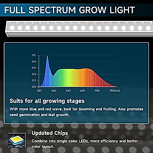Barrina T5 Grow Lights, 5000K White Full Spectrum LED Grow Lights, 2ft 80W (8 x 10W) Plant Grow Lights for Indoor Plants, Plug and Play, 8-Pack