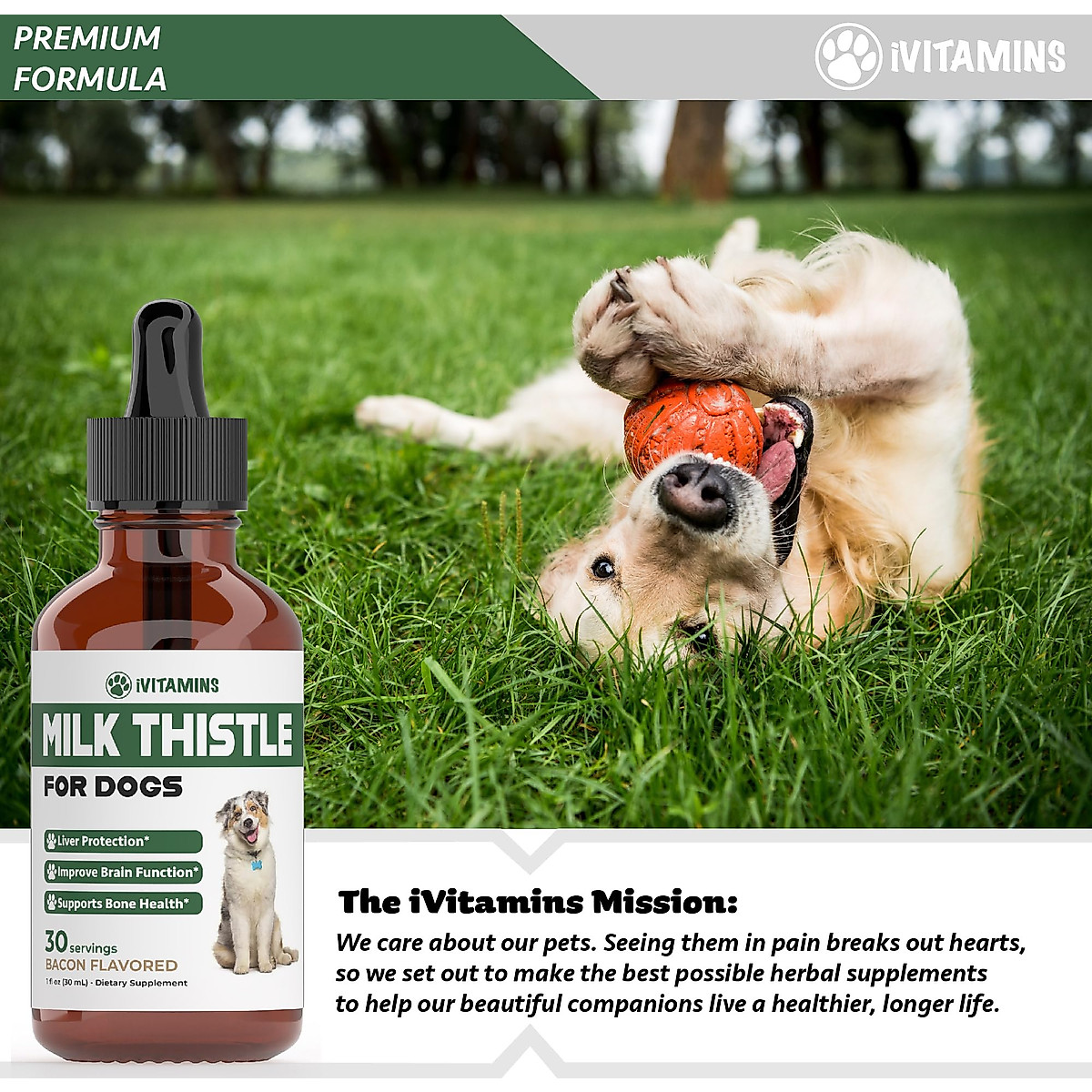 Milk Thistle for Dogs | Supports Liver and Kidney Health | Milk Thistle for Dogs Liver Support | Dog Milk Thistle | Dog Liver Support | Dog Liver Supplement | Milk Thistle Supplement for Dogs | 1 oz