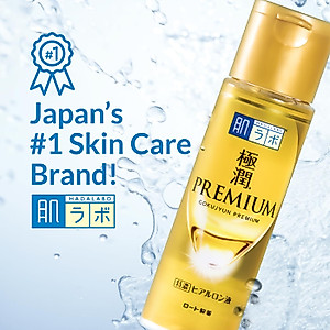 (Set of 2) Hada Labo Gokujun Premium Hyaluronic Acid 170ml