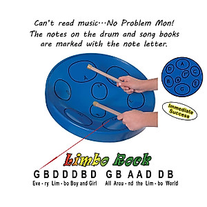 Panyard Steel Drum (W1068),Purple