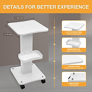 Trolley with Shelf, Multi-Functional Trolley,Suitable for Beauty Salon Hospital Barbershop Laboratory Placing Tools and Instruments