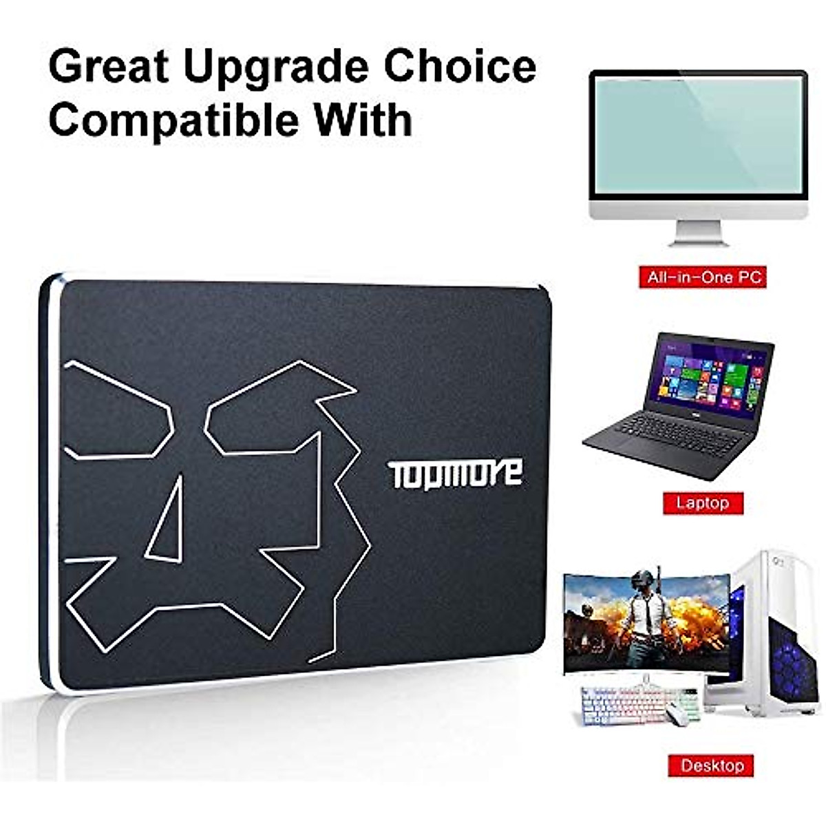 TOPMORE TLC 240GB 2.5 Inch SATA III Internal Solid State Drive SSD | Made in Taiwan (240GB)