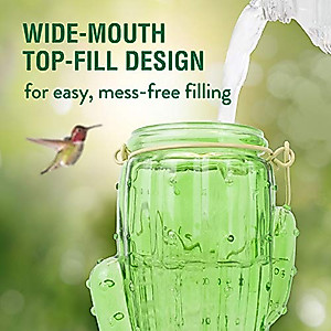 Perky-Pet 9111-1SR Cactus Top Fill Glass Hummingbird Feeder with Built-in Bee Guards & Removable Perches - 32 oz Outdoor Garden Décor Hummingbird Feeder