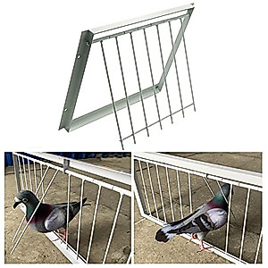 Pigeon Loft Door Pigeon Entrance Door Trap Door Pigeon House Door Racing Supplies Pet Bird Supply Product Bird cage Door (60cm/24in)