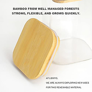 LIBWYS Square Pantry Glass Storage Jars with Bamboo Lids Set of 12, 297oz Airtight Food Containers Kitchen Storage Jars - Dishwasher Safe (12pack)